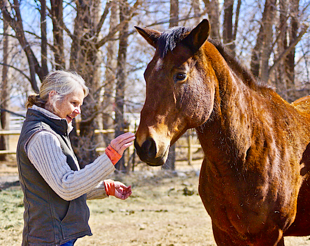 Mary - Sponsored by Robert & Kathy Clapper! - End of the Trail Rescue